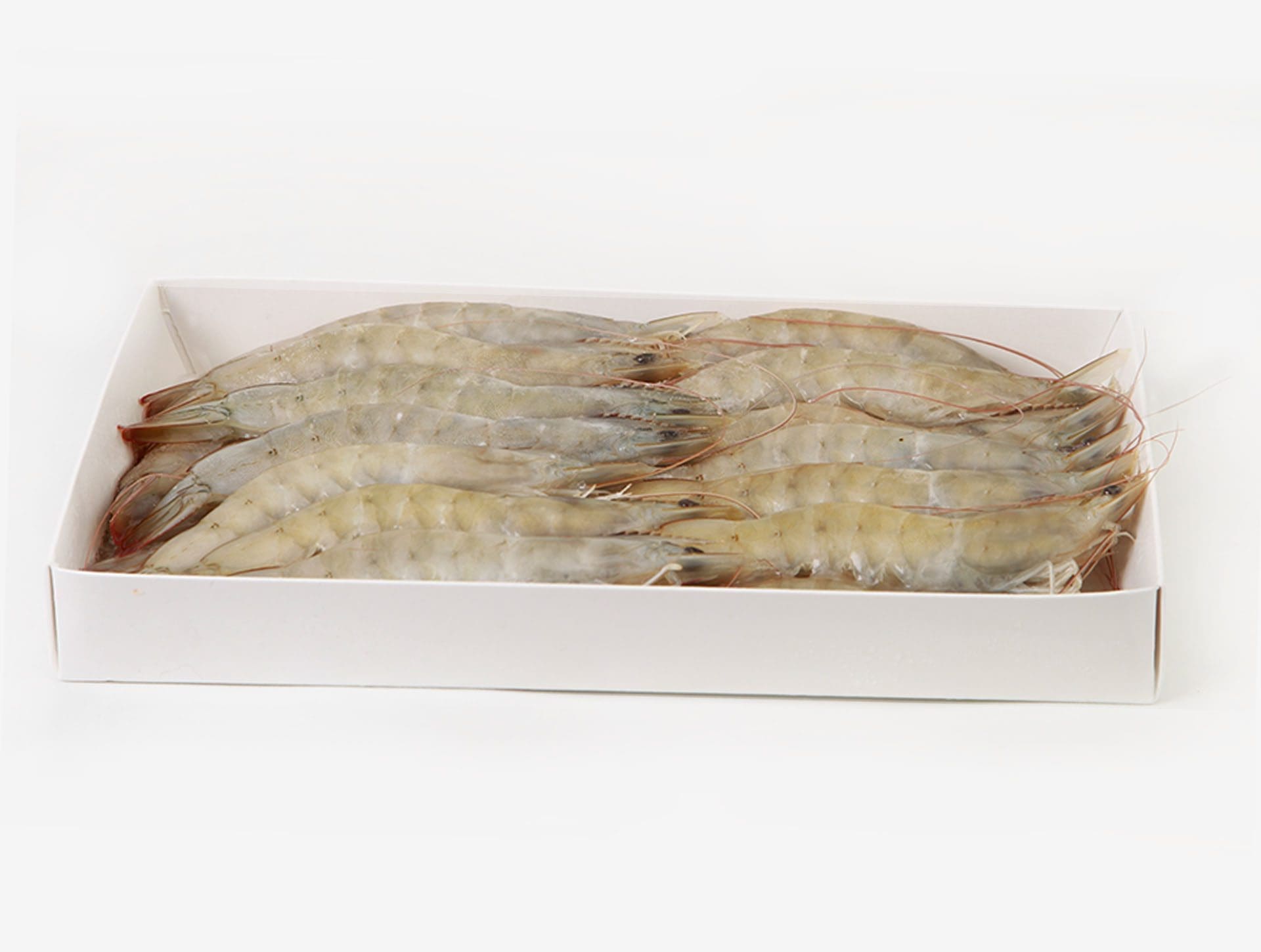 Camarón Entero Crudo con cáscara y cabeza 1kg | Aquality Soluciones